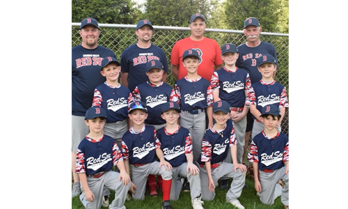 Ligonier Youth Baseball Softball Association > Home